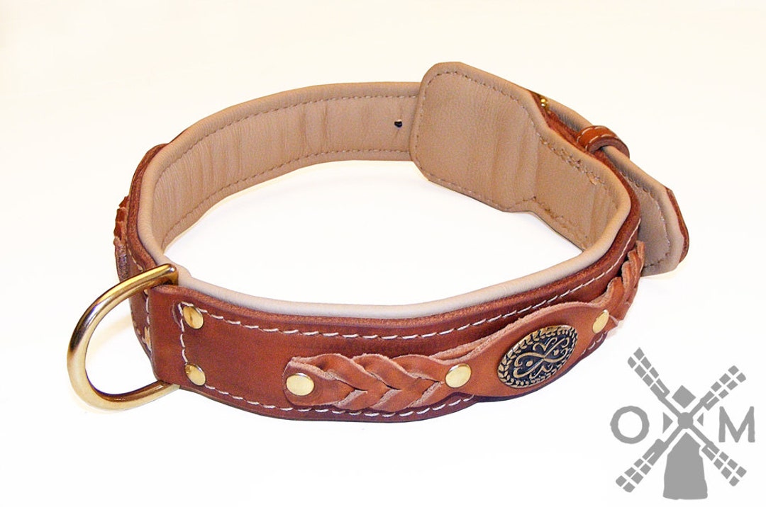 Tan Leather Dog Collar With Interior Nappa Padding Limited - Etsy