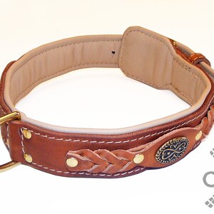 Tan Leather Dog Collar With Interior Nappa Padding Limited - Etsy
