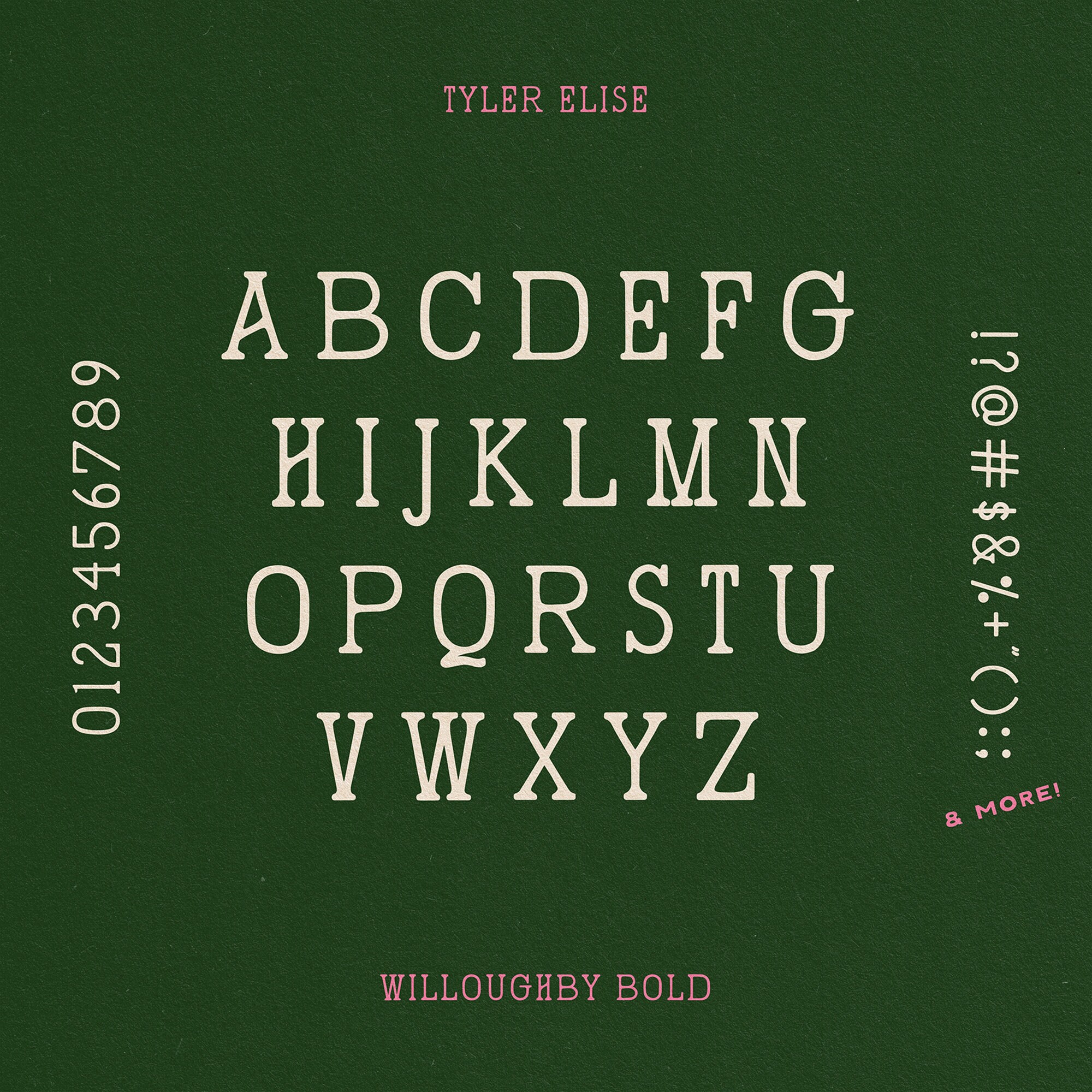 WILLOUGHBY Serif Typeface by Tyler Elise - Etsy