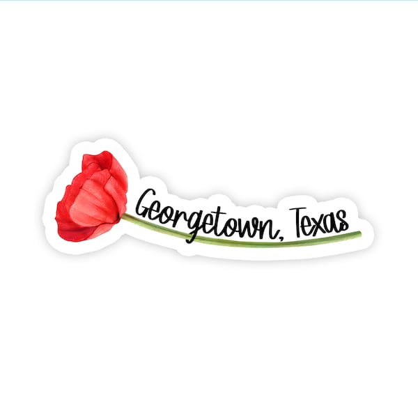 Texas Sticker - Etsy
