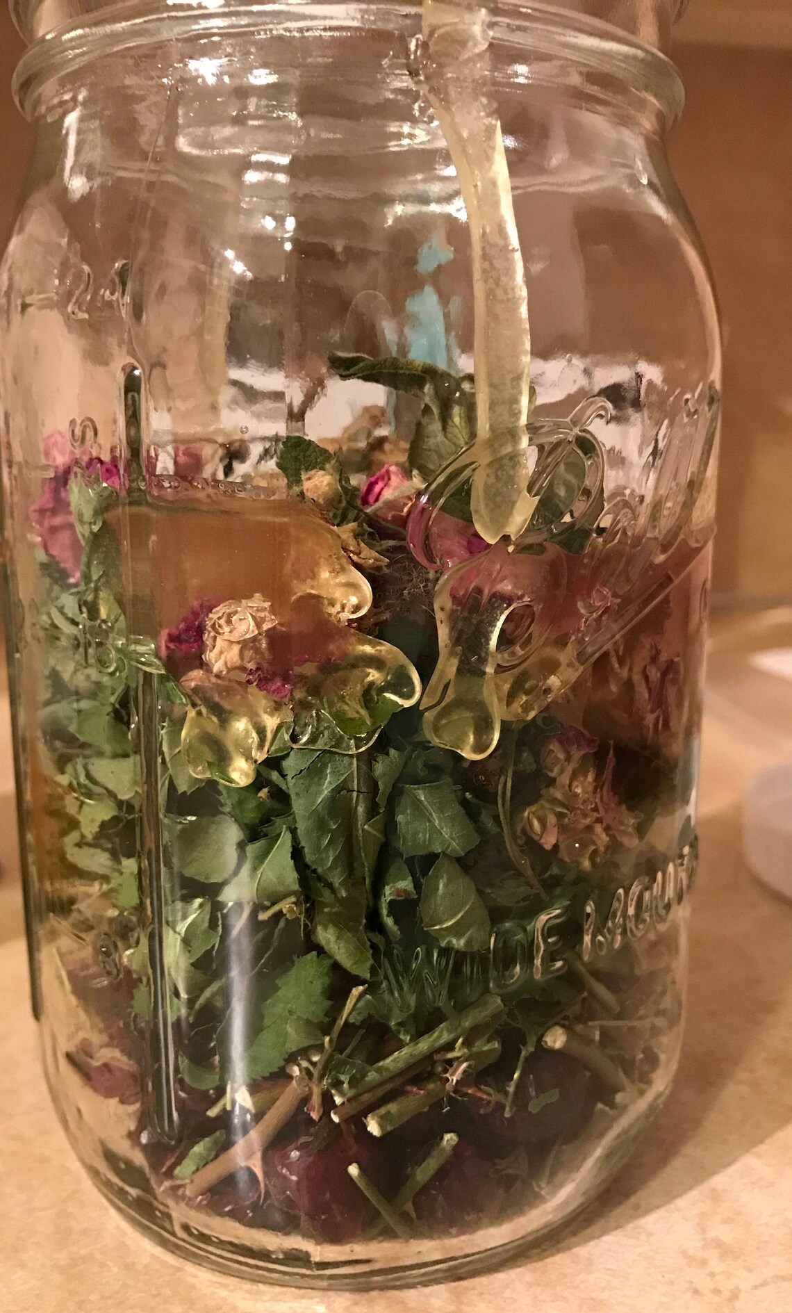 Wild Rose Elixir // Herbal Extract Made With Wild Roses and | Etsy