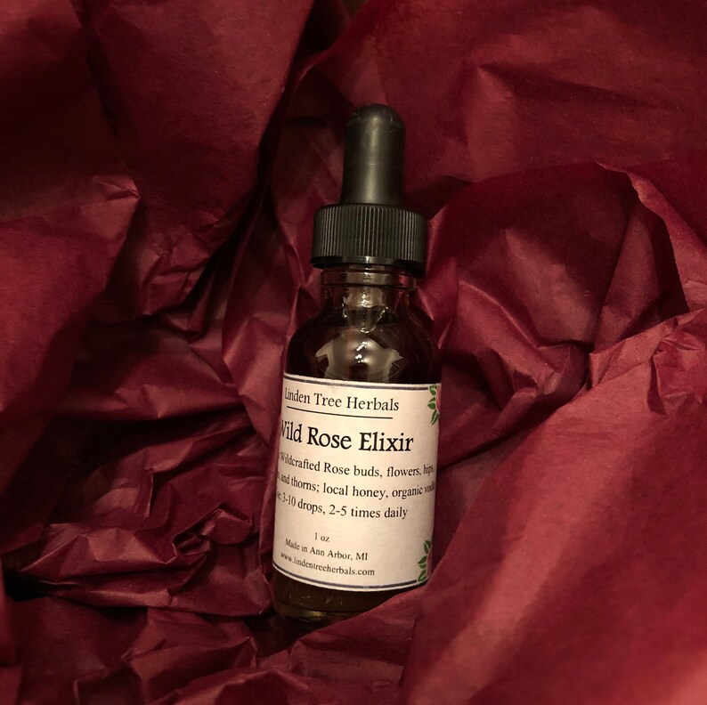 Wild Rose Elixir // Herbal Extract Made With Wild Roses and - Etsy