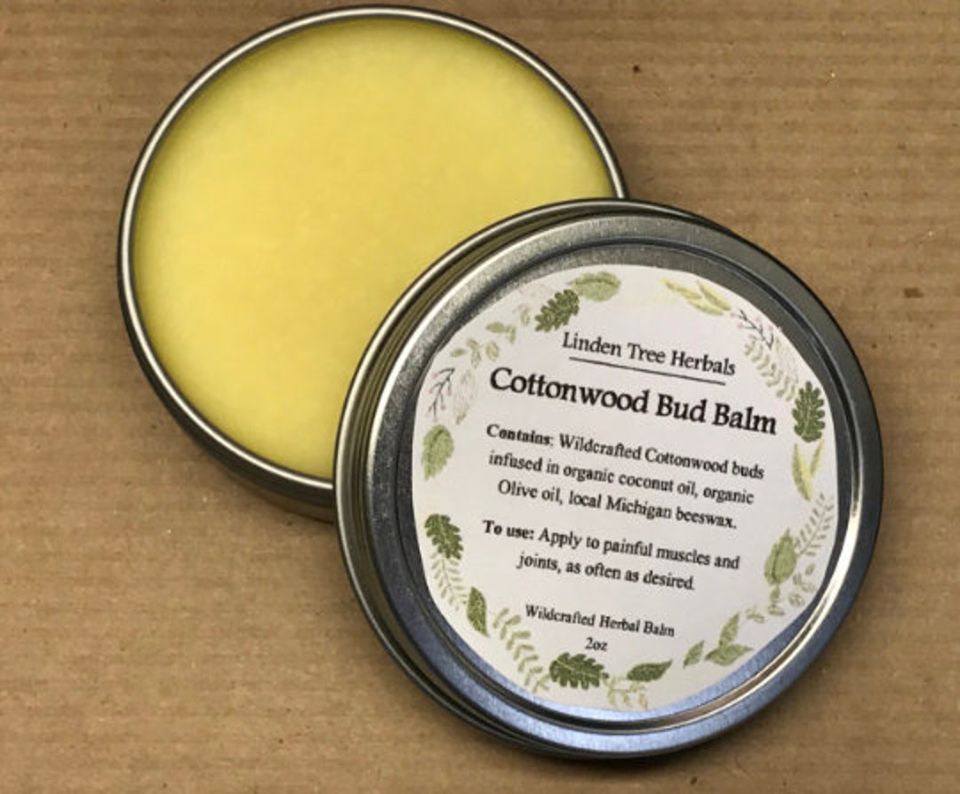 Cottonwood Bud Balm // Wildcrafted Herbal Salve - Etsy