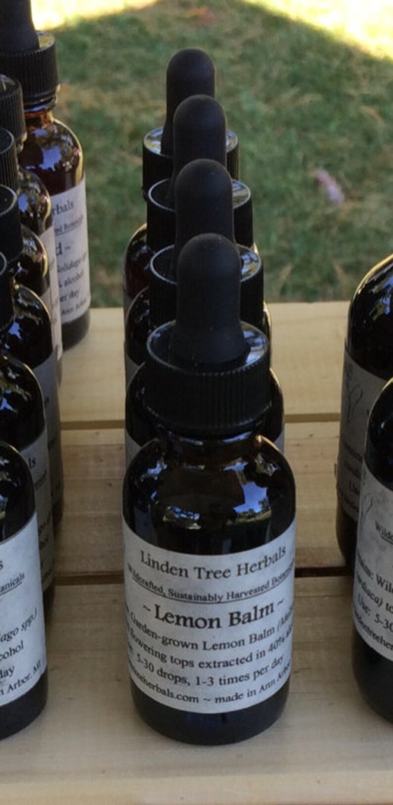 Lemon Balm Herbal Tincture (melissa Officinalis) // Wildcrafted ...