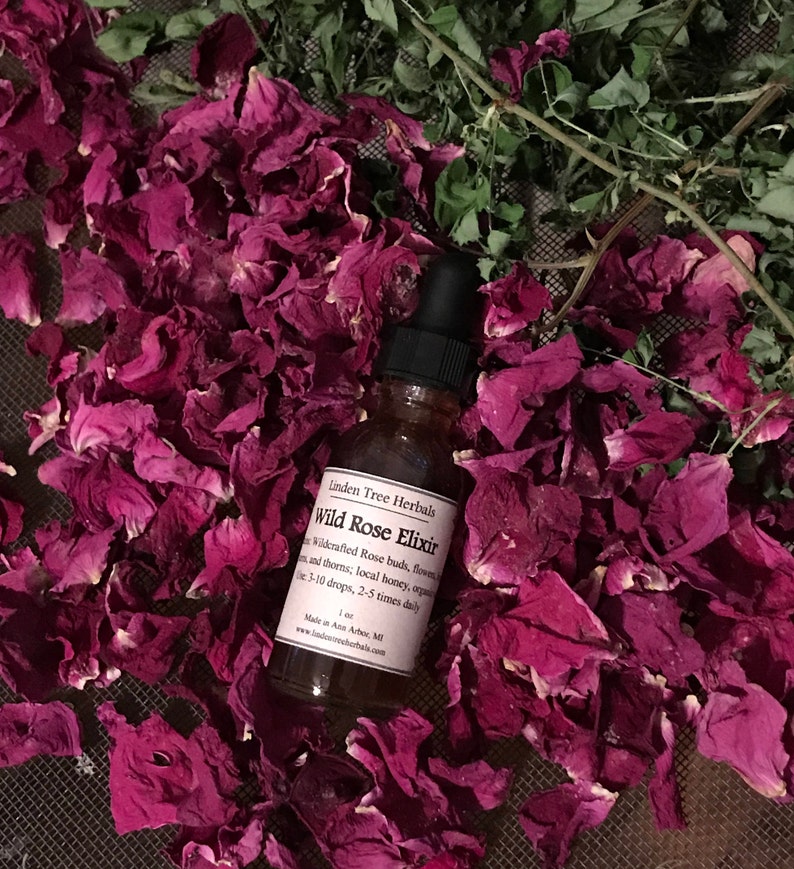 Wild Rose Elixir // Herbal Extract Made With Wild Roses and - Etsy