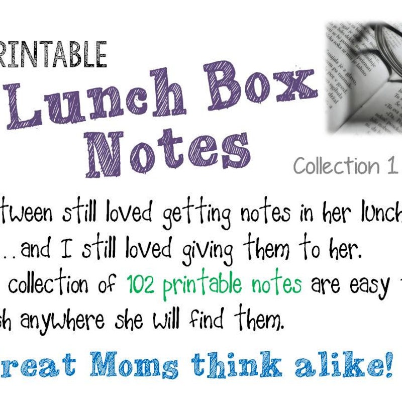 Girls Lunch Box - Etsy