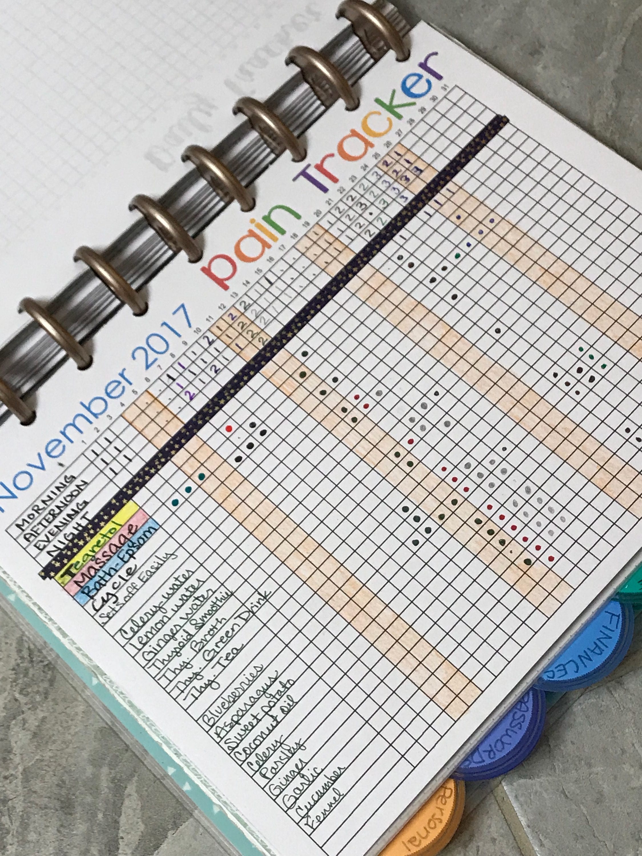 Bullet Journal Monthly Tracker Daily Tracker Habit Tracker | Etsy