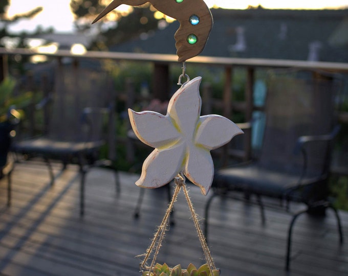 Hummingbird Sparkle Succulent Planter Air Plants Hanging Planter ...