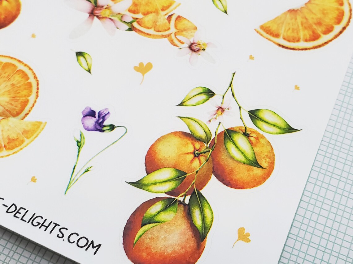 Oranges Sticker Sheet Orange Stickers Citrus Fruit Sticker | Etsy