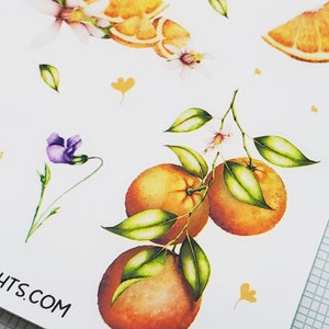 Oranges Sticker Sheet, Orange Stickers, Citrus Fruit Sticker, Journal ...