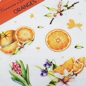 Oranges Sticker Sheet, Orange Stickers, Citrus Fruit Sticker, Journal ...