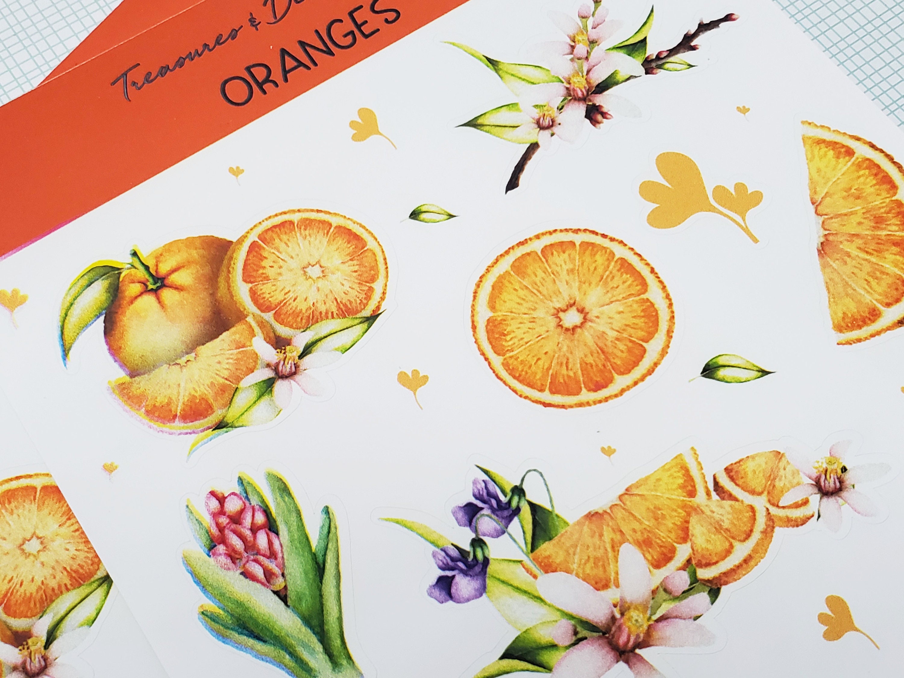 Oranges Sticker Sheet Orange Stickers Citrus Fruit Sticker | Etsy
