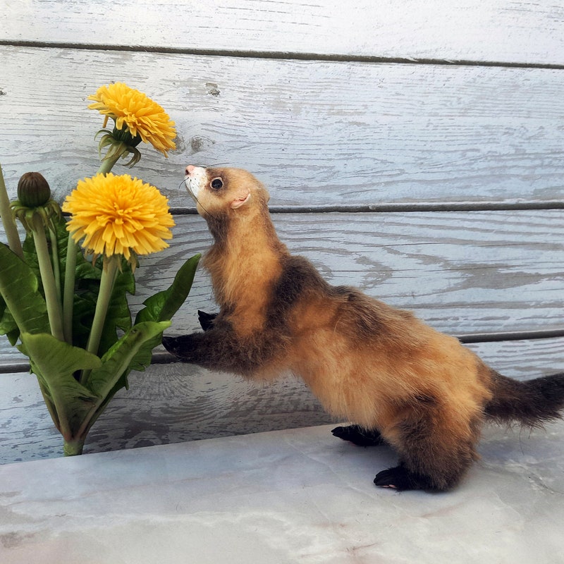 Ferret Plush - Etsy