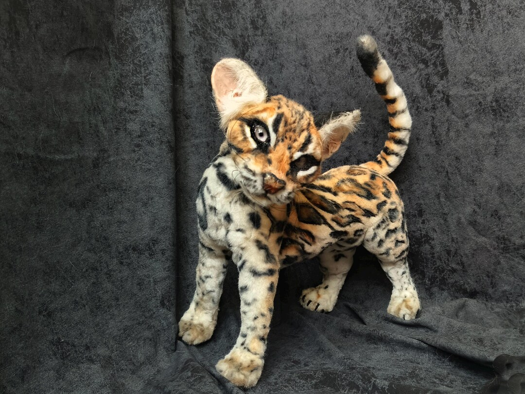 Wild Cat Plush Ocelot Stuffed Animal Kitten Realistic Animal Art Doll ...