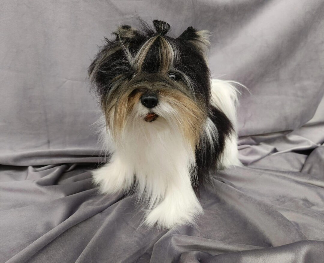 Yorkie Beaver Realistic Custom Pet Plush, Yorkshire Terrier, Furry ...