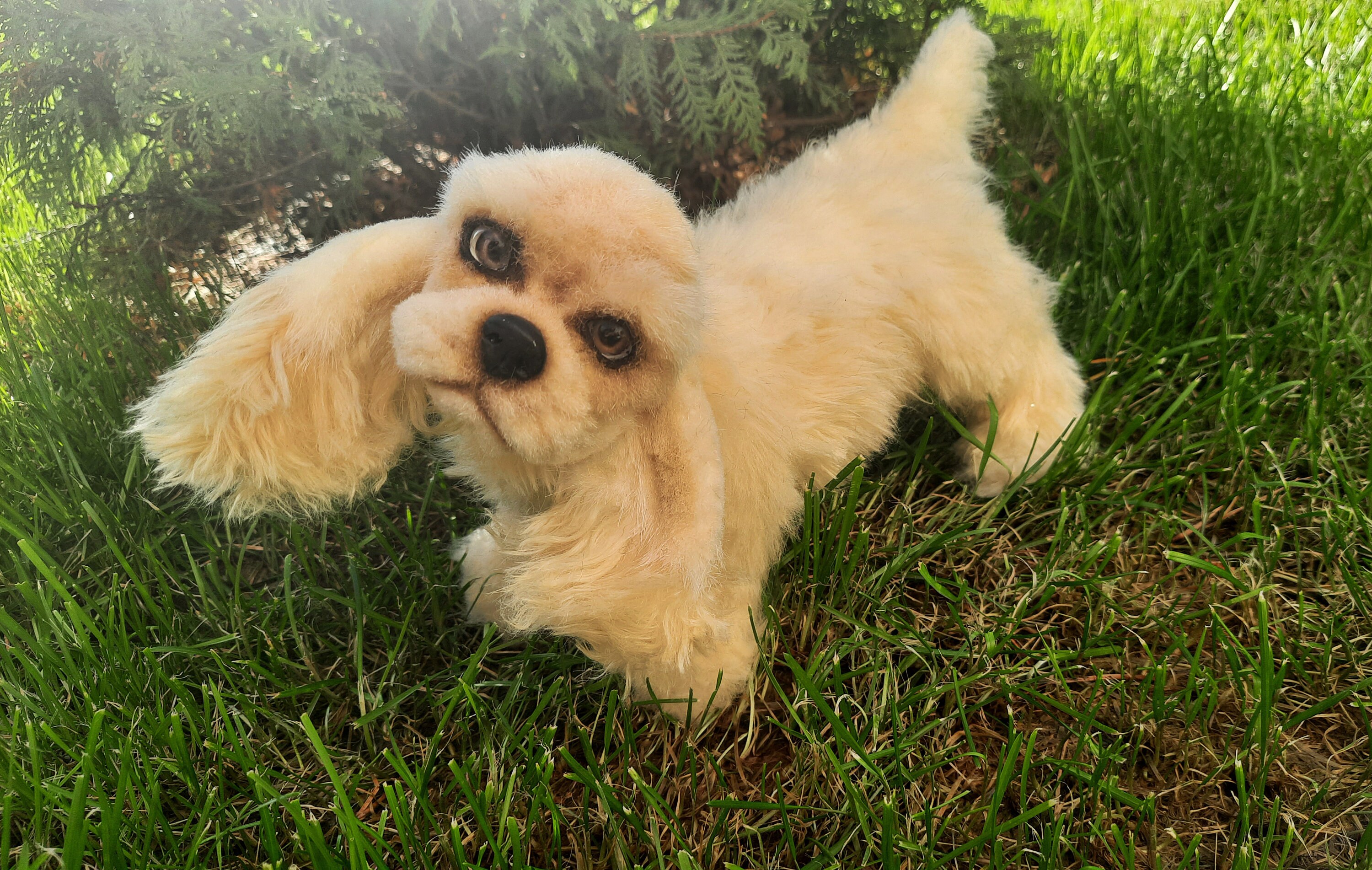 Puppy American Cocker Spaniel Plushie, Realistic Art Doll, Stuffed ...
