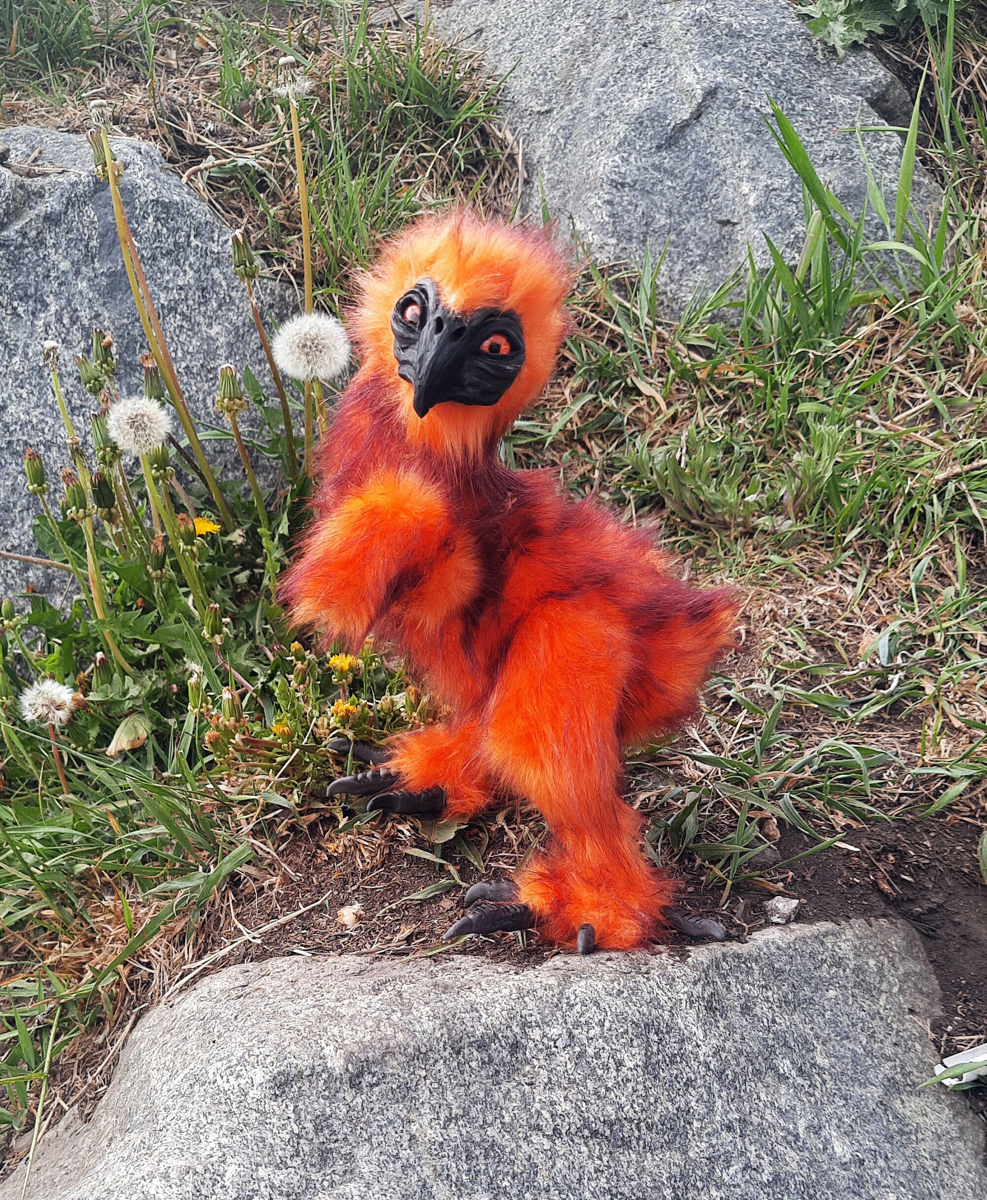 Bird Poseable Art Doll, Phoenix Chick, Fantasy Creature - Etsy