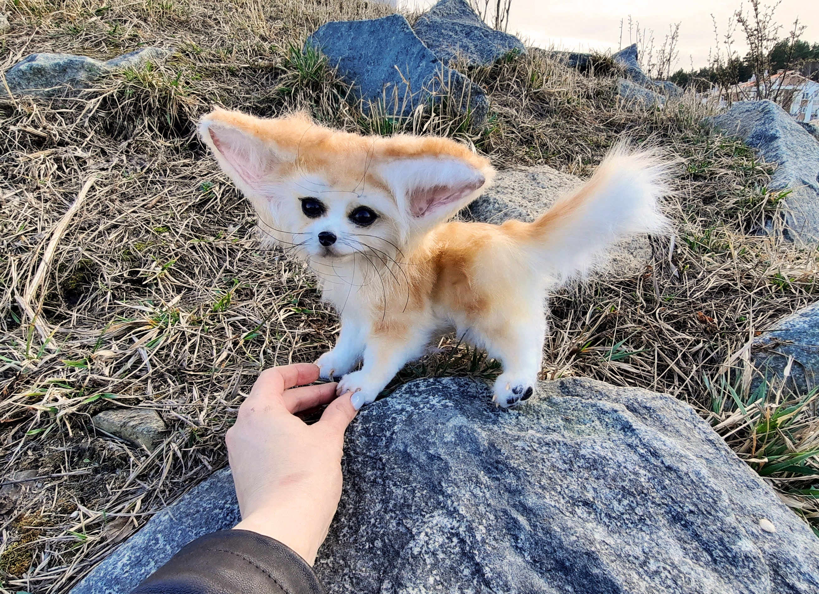 Fennec Fox Realistic Plush Poseable Art Doll - Etsy