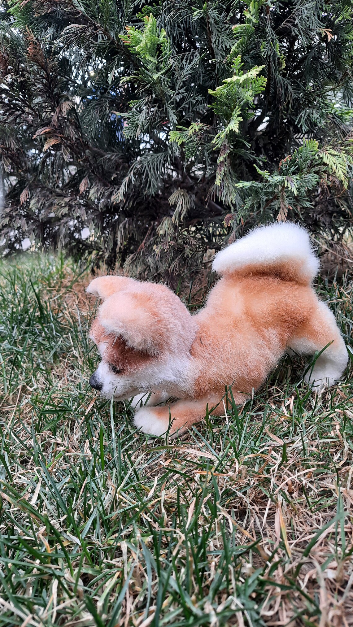 Realistic Plush Toy Dog Akita Inu, Art Doll Poseable - Etsy