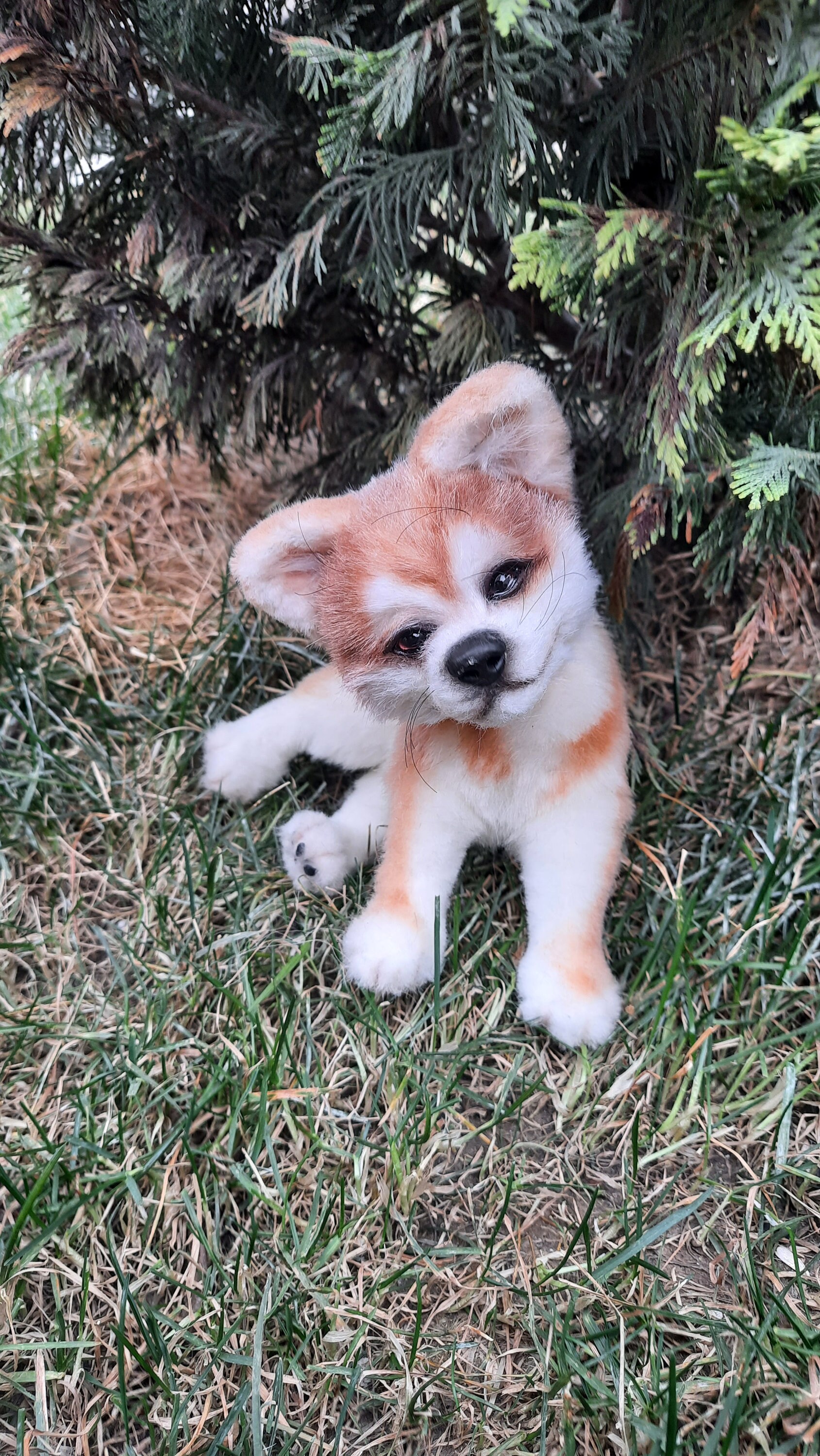 Realistic Plush Toy Dog Akita Inu, Art Doll Poseable - Etsy