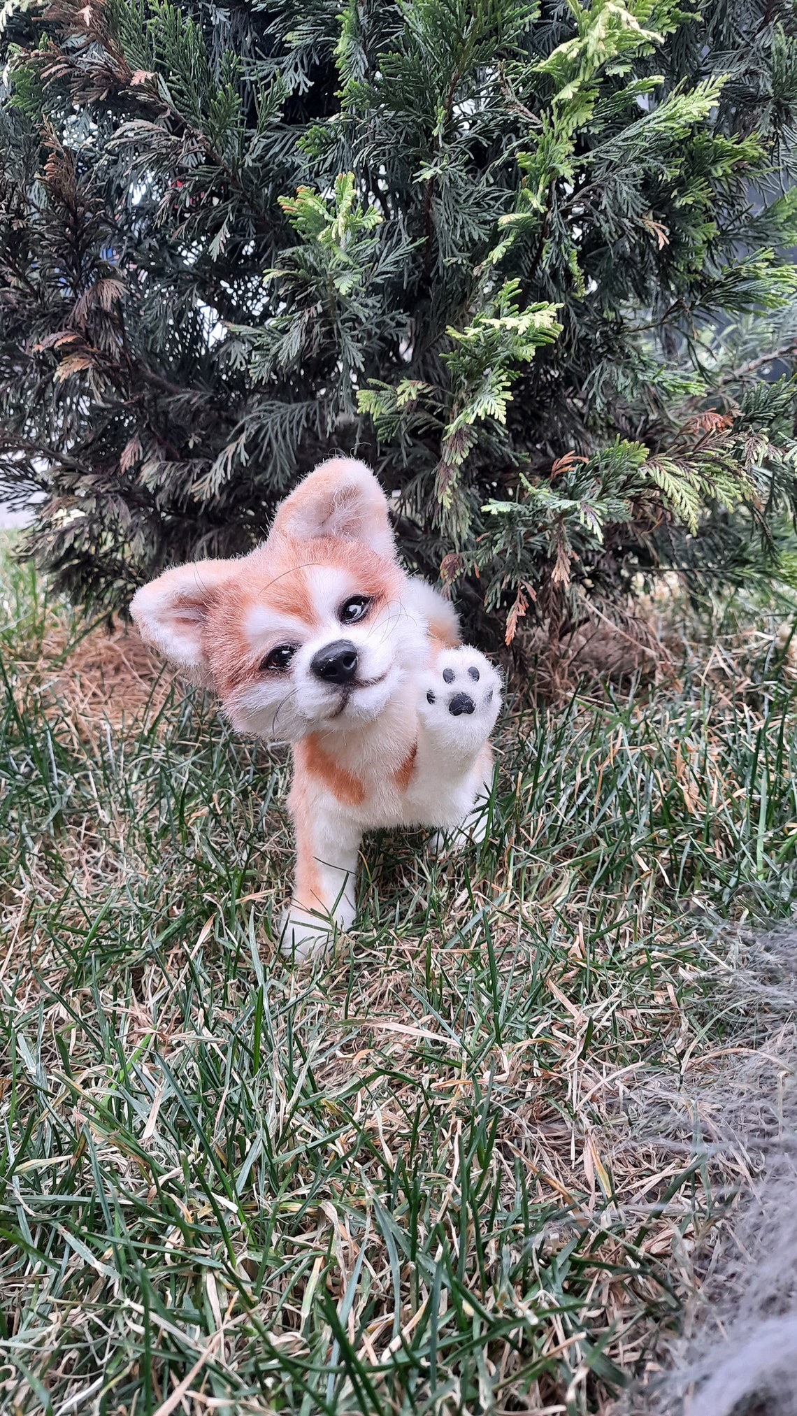 Realistic Plush Toy Dog Akita Inu, Art Doll Poseable - Etsy