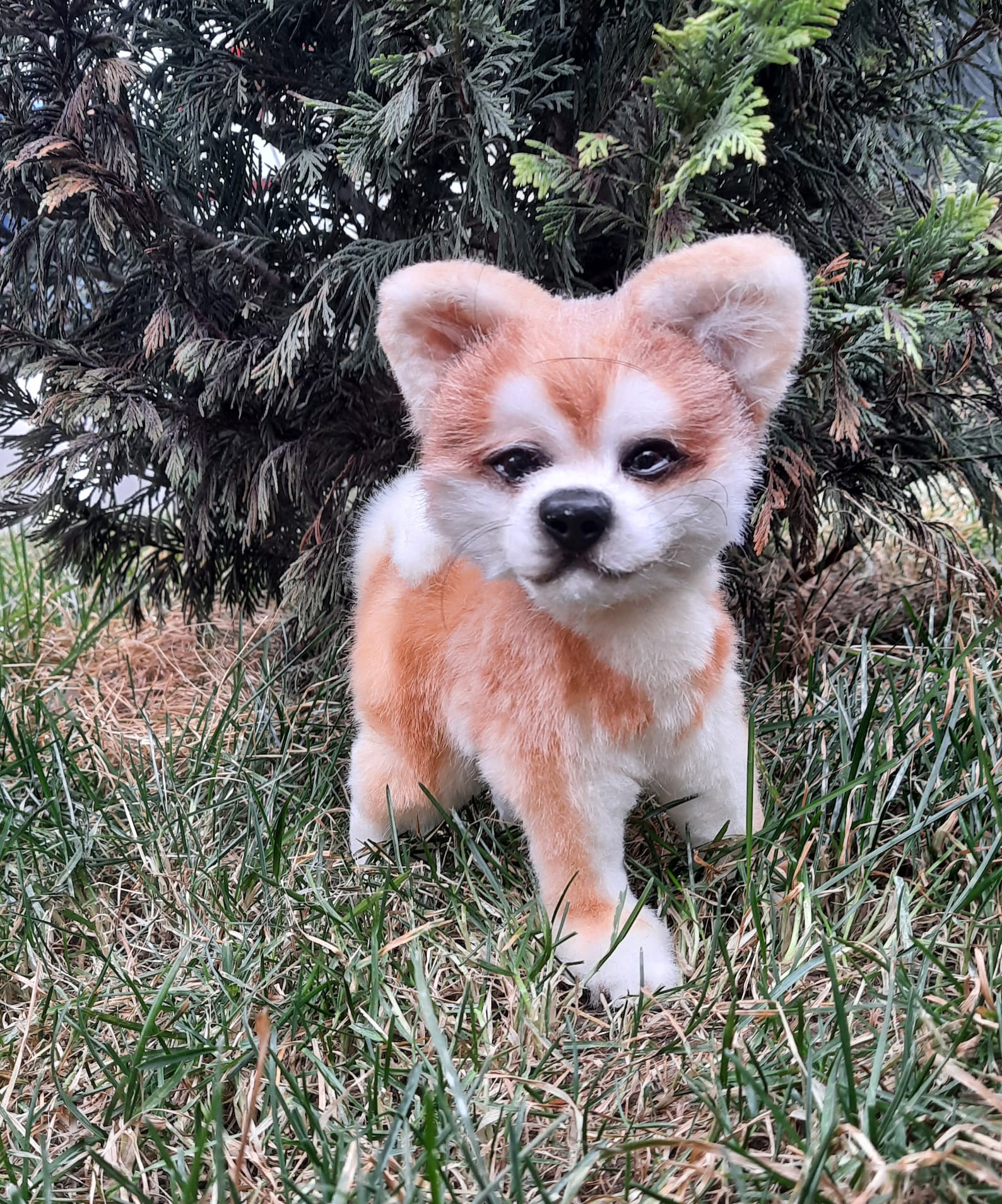 Realistic Plush Toy Dog Akita Inu, Art Doll Poseable - Etsy