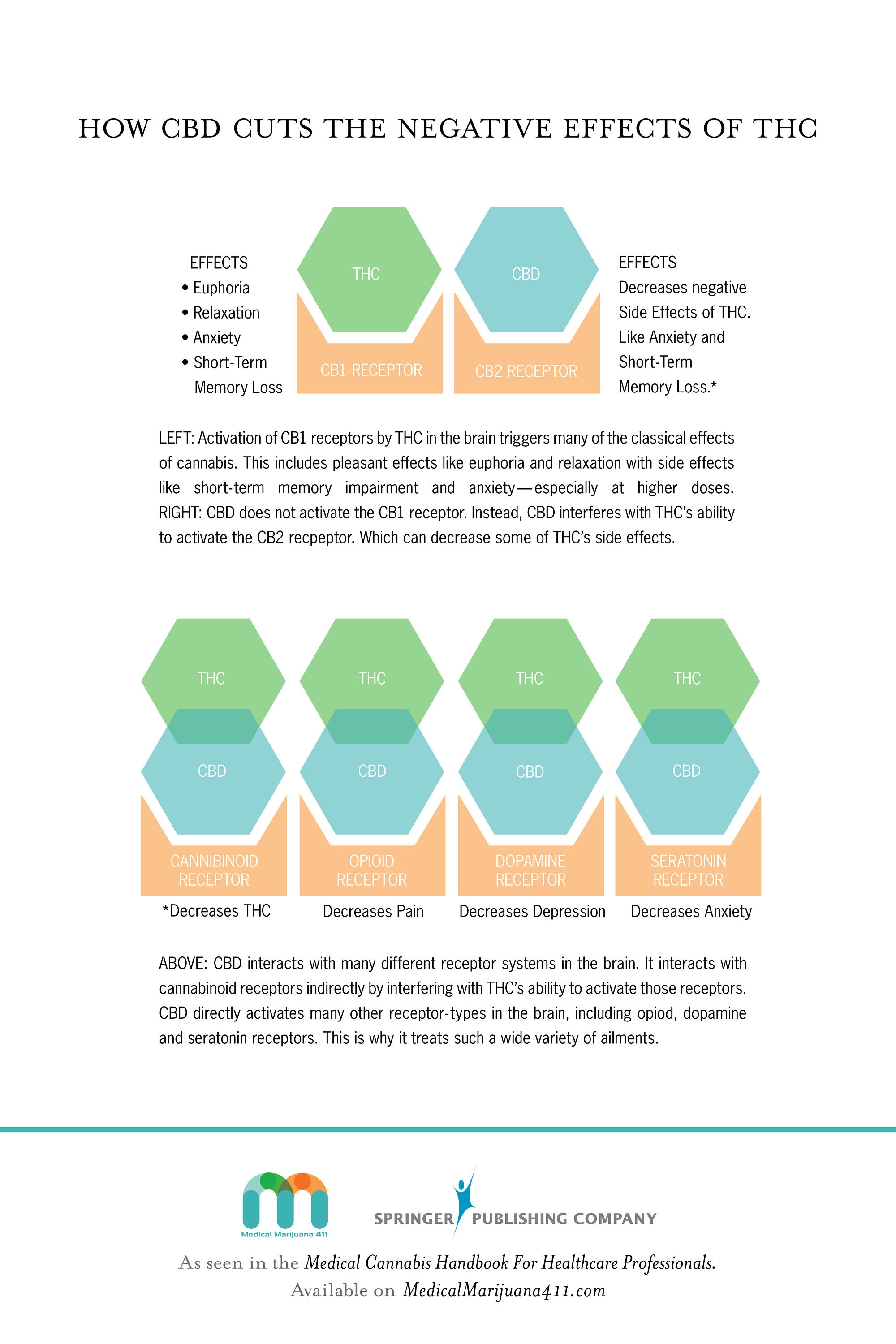 CBD Cuts the Negative Effects of THC Infographic Poster - Etsy