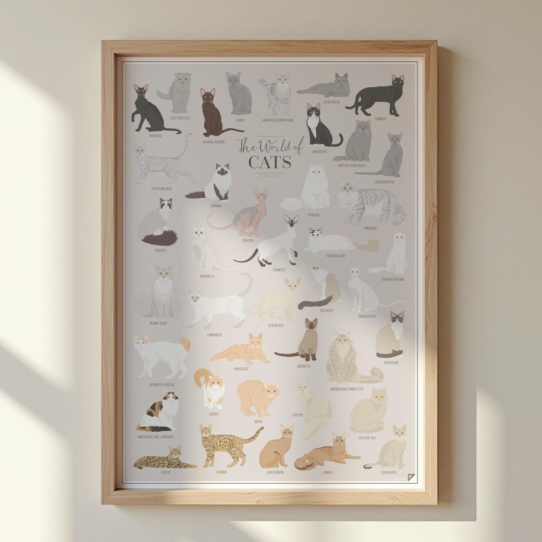 Cat Lovers Poster - the World of Cats – Cat Breeds Wall Art, Pet Decor ...