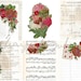 Digital Deluxe - Morning Roses Journal Pages & Ephemera Digital Kit ...
