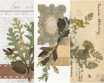 Botanical Journal - Etsy