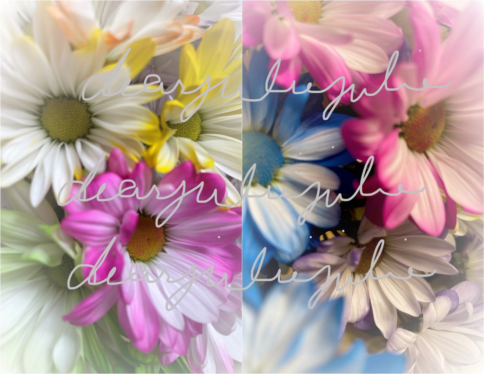 Digital Daisy Colorful Daisy Journal Pages & Ephemera | Etsy