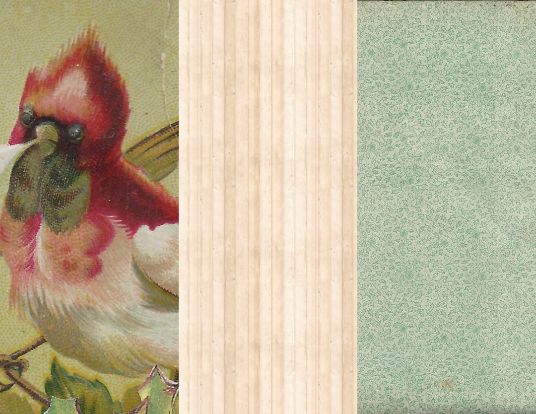 Digital - Antique Cardinal Pages & Ephemera Digital Kit - Diary ...