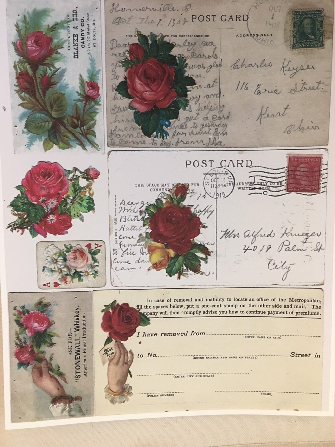 Digital Roses Roses Ephemera Digital Kit ... Digital Antique | Etsy