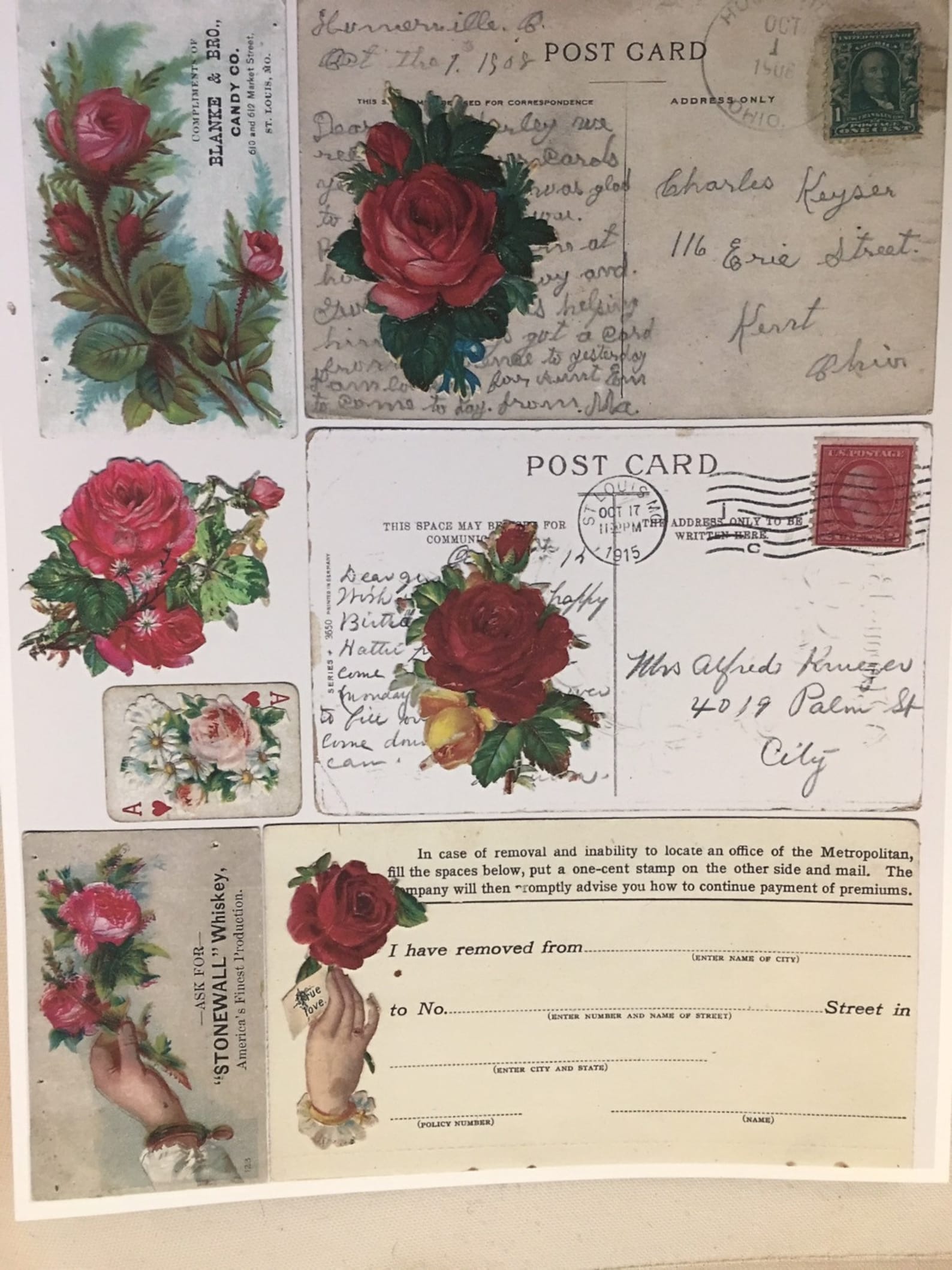 Digital Roses Roses Ephemera Digital Kit ... Digital Antique | Etsy