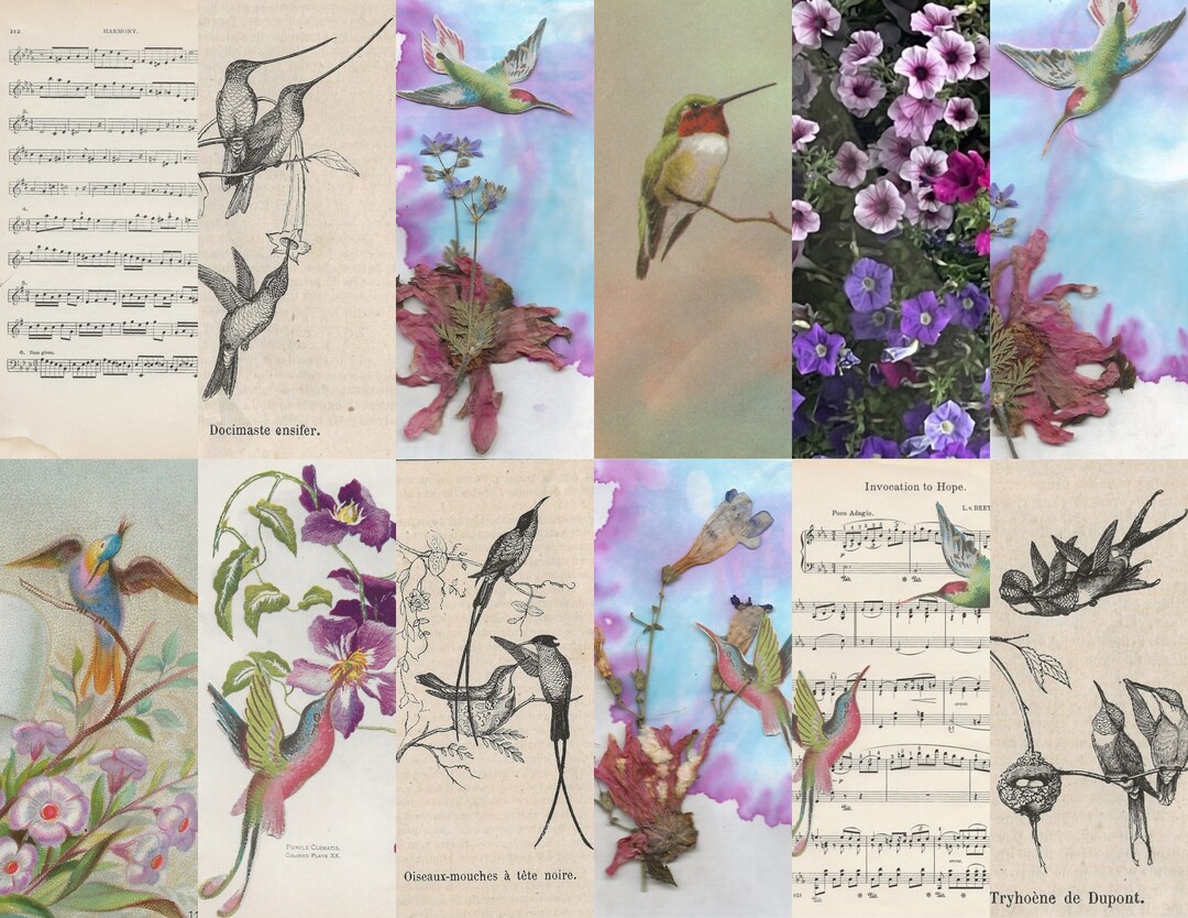 Hummingbird Fancy Pages & Ephemera Digital Kit. Digital Antique ...