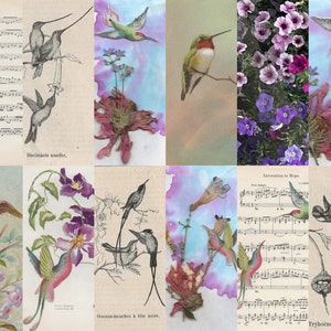 Hummingbird Fancy Pages & Ephemera Digital Kit. Digital Antique ...