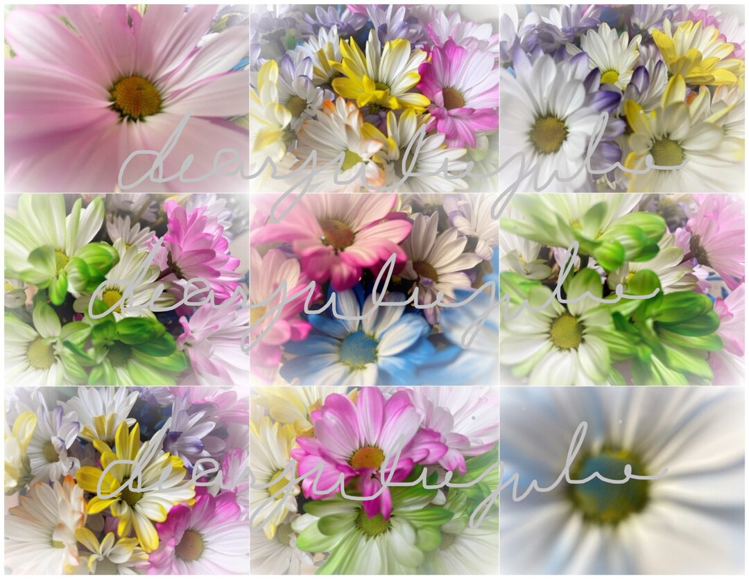 Digital - Daisy Colorful Daisy Journal Pages & Ephemera Digital Kit ...