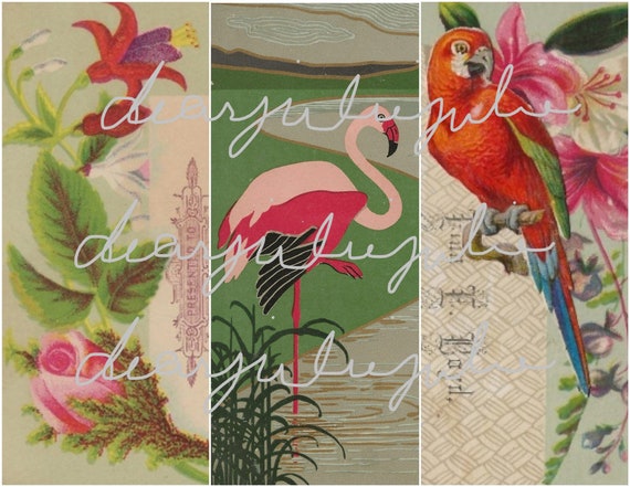 Digital Tropical Flamingos and Friends Journal Pages & - Etsy
