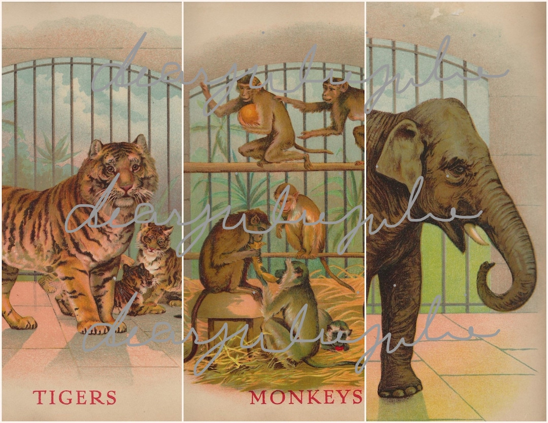 Digital - Zoo Animals, Jungle, Circus Journal Pages & Ephemera Digital ...
