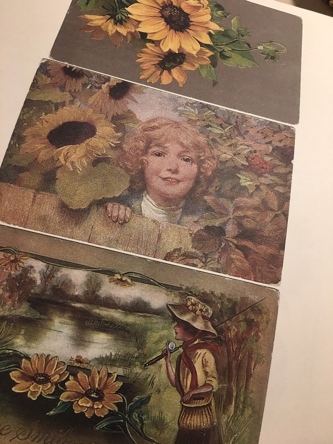 Digital - Sunflower (postcard) Digital Kit ... Digital Antique Images ...