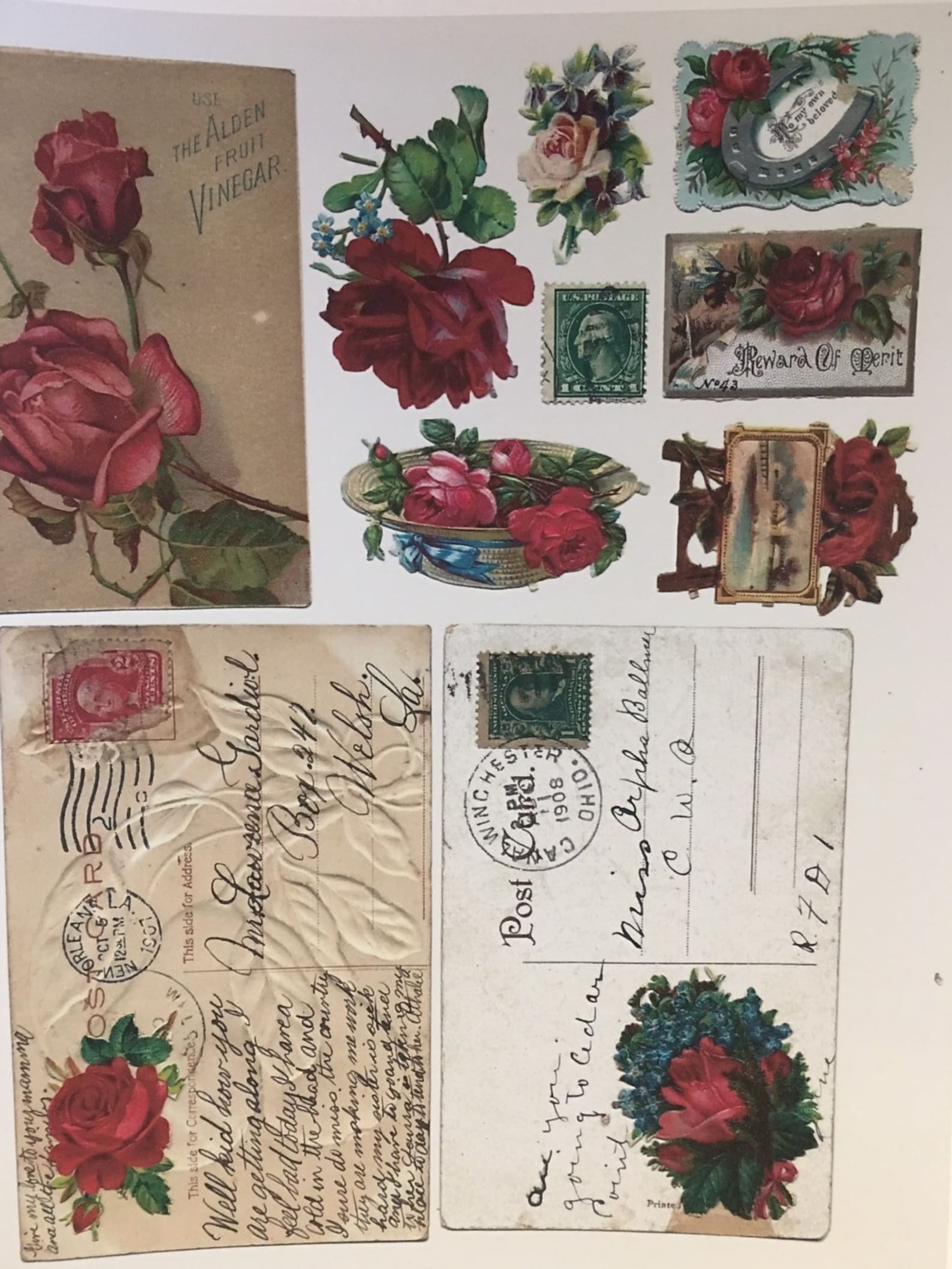 Digital Roses Roses Ephemera Digital Kit ... Digital Antique - Etsy