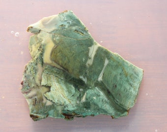 Green Petrified Wood - Etsy