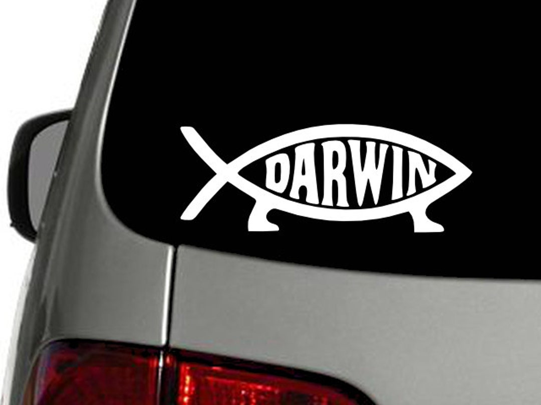 Darwin "evolution" Vinyl Decal Sticker, White, High Quality - Etsy