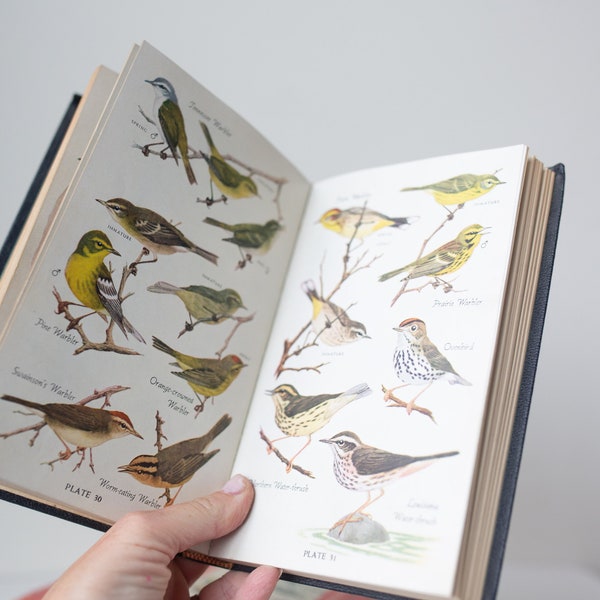 Vintage Bird Book - Etsy