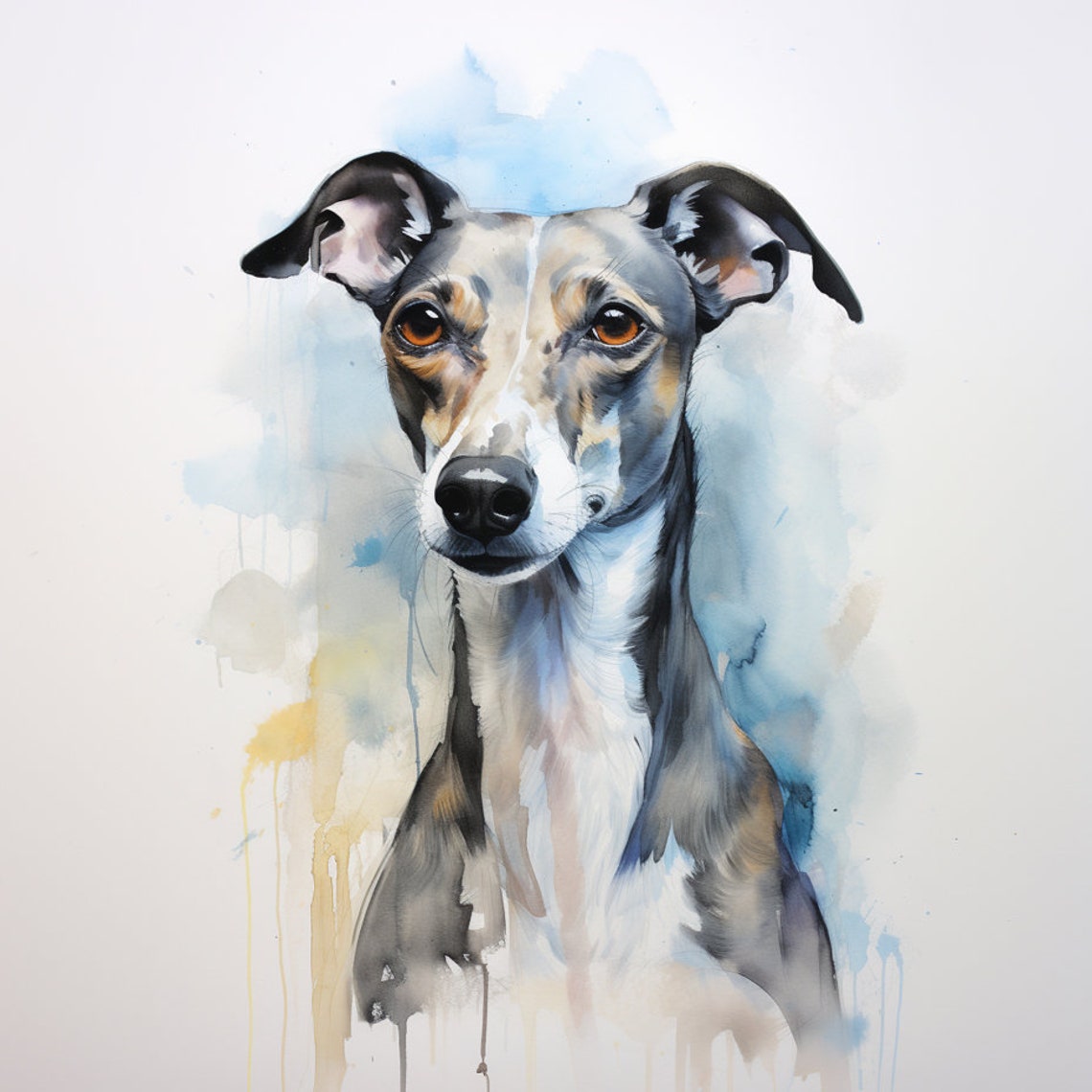 Whippet Watercolour Painting Illustration Drawing Pet Portrait Clip Art ...