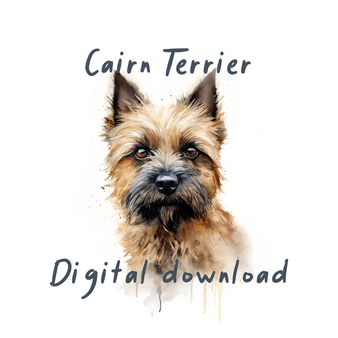 Cairn Terrier Digital Download | Watercolour Painting Illustration ...