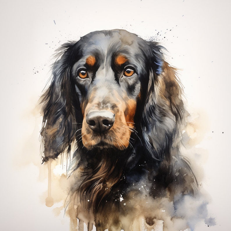 Gordon Setter Watercolour Painting Illustration Drawing Pet Portrait ...