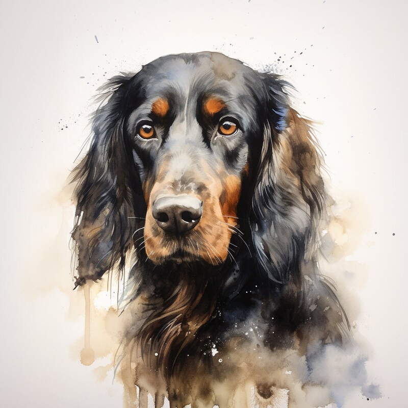 Gordon Setter - Etsy