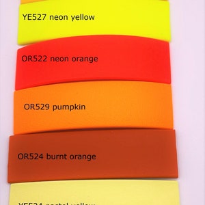 Standard 3/4 | Beta Biothane, Webbing Strap, by the Foot, Alternative ...