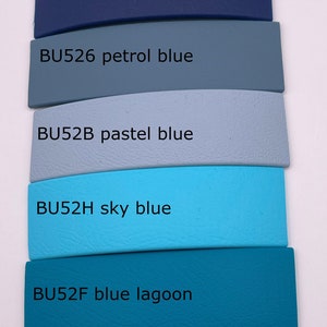 Standard 3/4 | Beta Biothane, Webbing Strap, by the Foot, Alternative ...